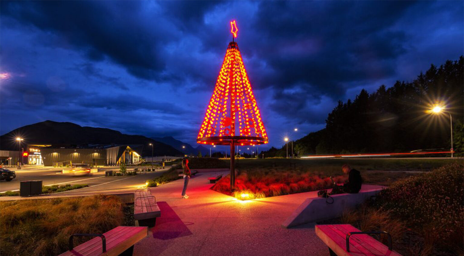 Queenstown Central Christmas Tree - ENGCO