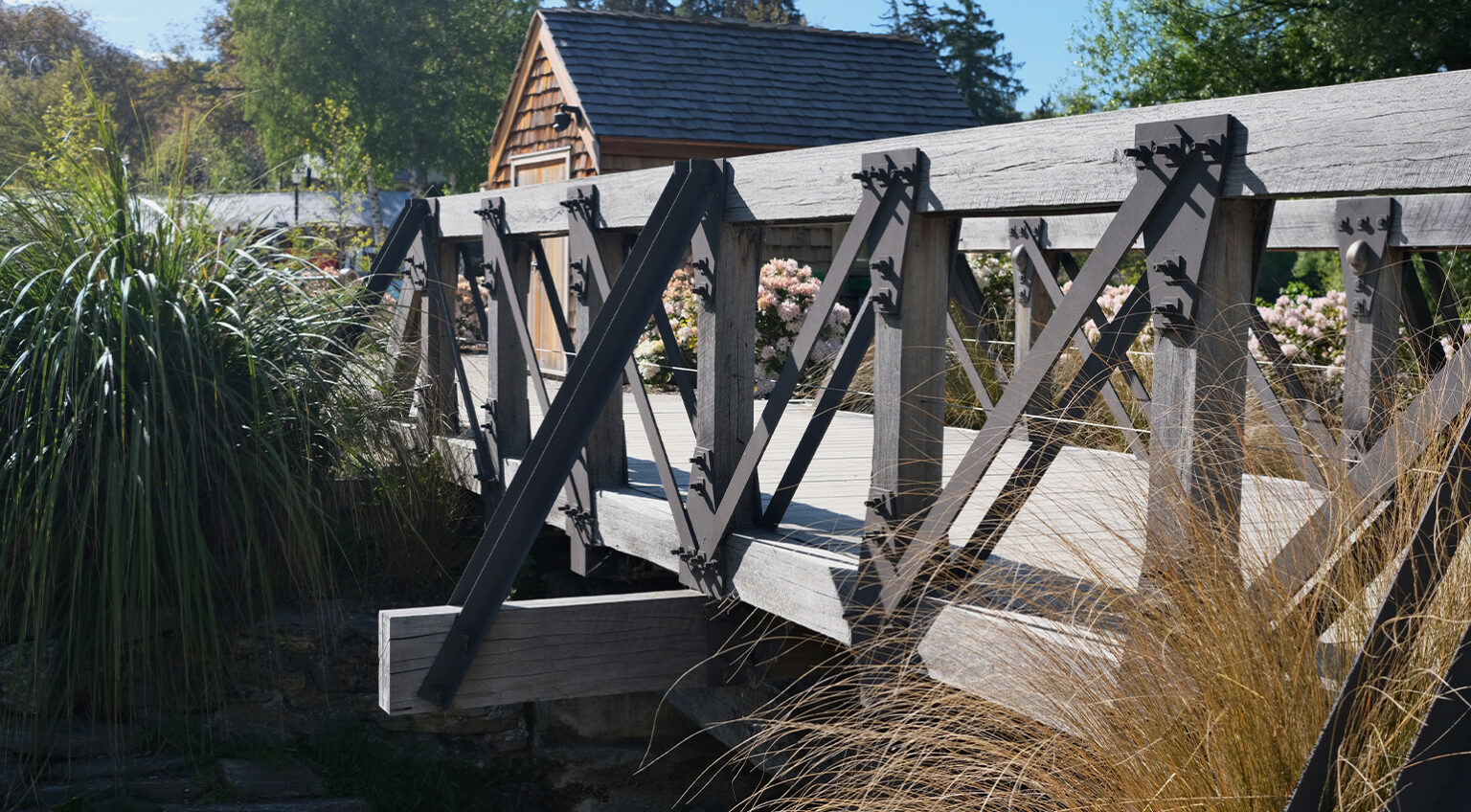 Ayrburn Park Pedestrian Bridge - ENGCO
